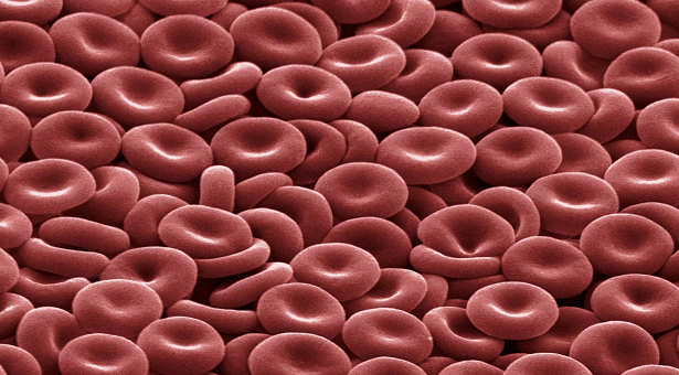 Ways to increase red blood cells